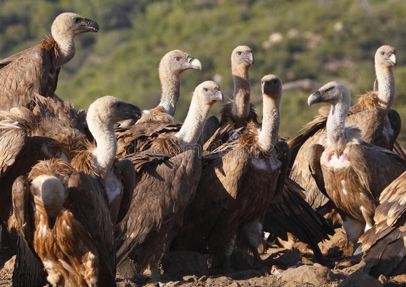 [FE8] Fire Emblem: 7 Siblings [COMPLETE] [FINAL] - Page 7 - Projects ...